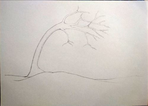 Tips on How to Draw Effect of Wind with Wooden Pencil